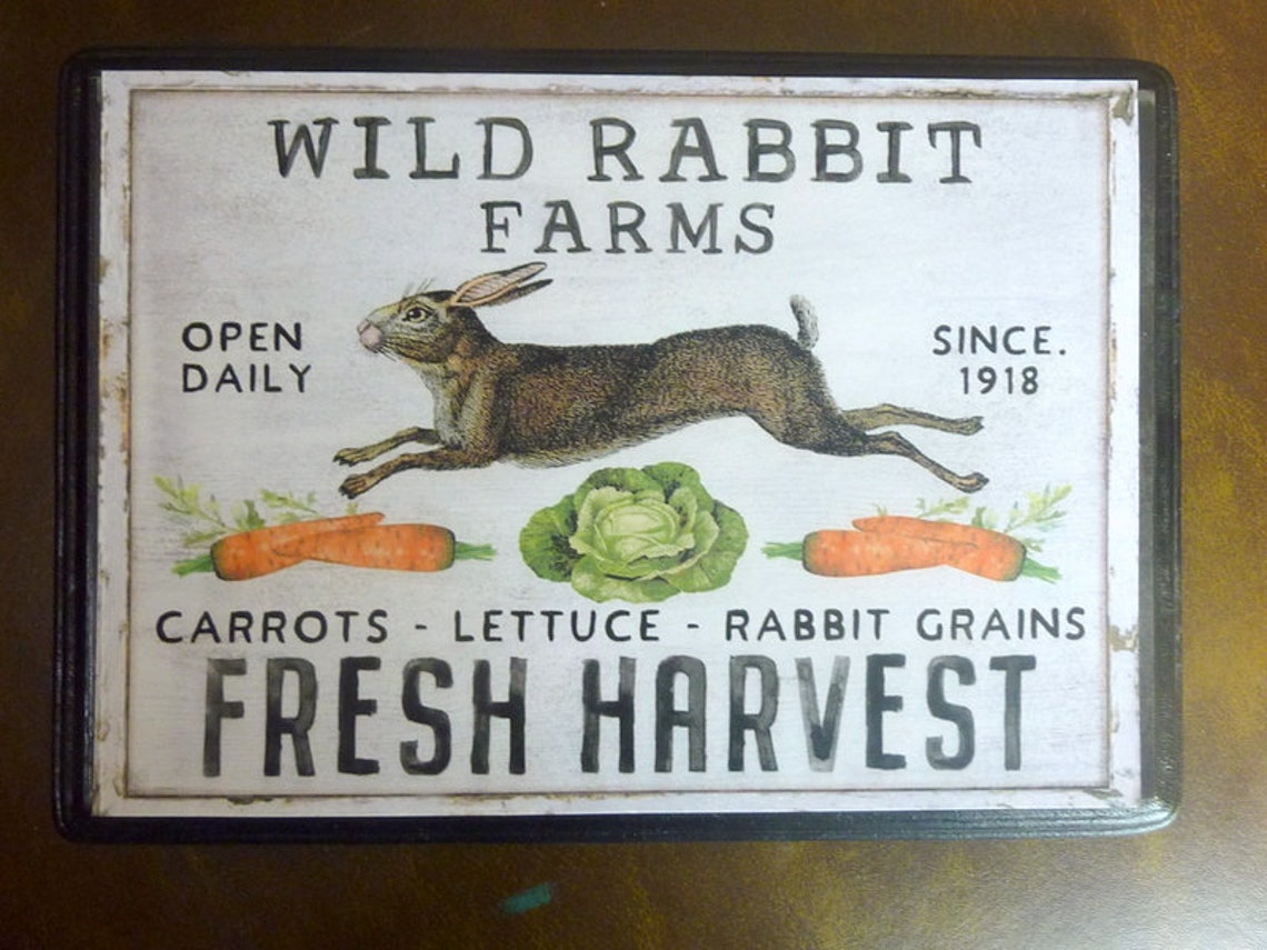 Wood Signs Rabbit Wall Art - Etsy