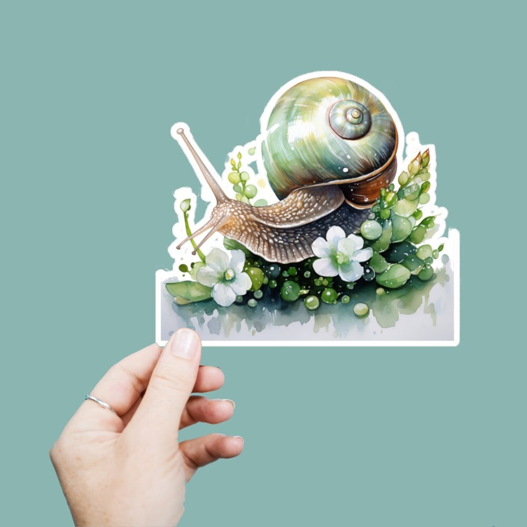 Watercolor Floral Snail Vinyl Decal, Satin Finish Boho Animal Sticker ...