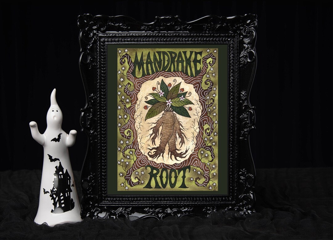 Mandrake Root Print - the Witches Garden Magical Mystical Plants A5 ...