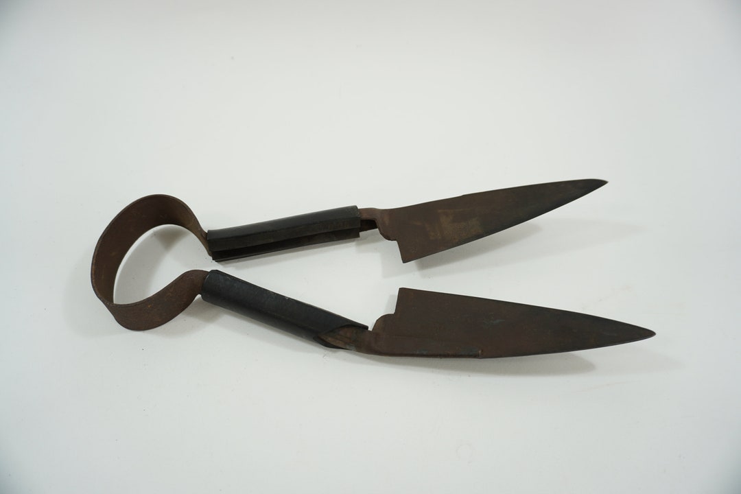 Sheep Shear Trimmer, Shears, Hand Forged Shears, USA Made, Greenhouse ...