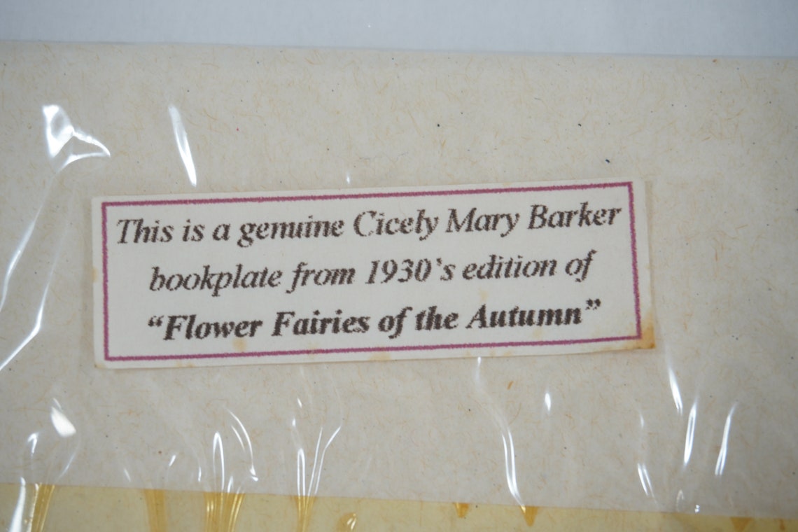 Cicely Mary Barker Book Plate, Vintage Ephemera, Vintage Book Image ...