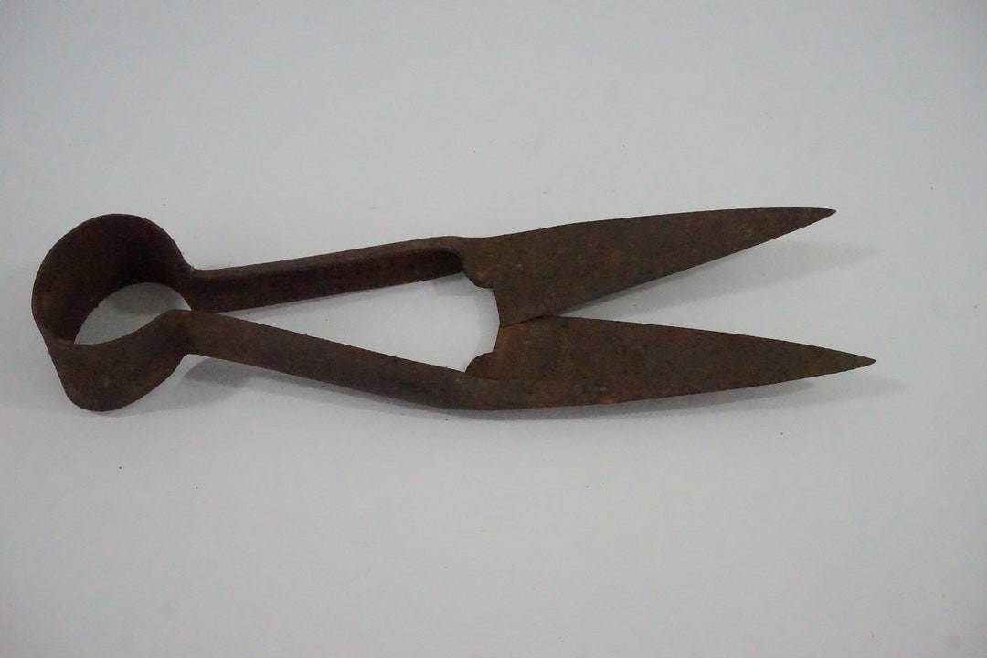 Sheep Shear Trimmer, Rusted Grass Shears, Steel Carbon English Clipping ...