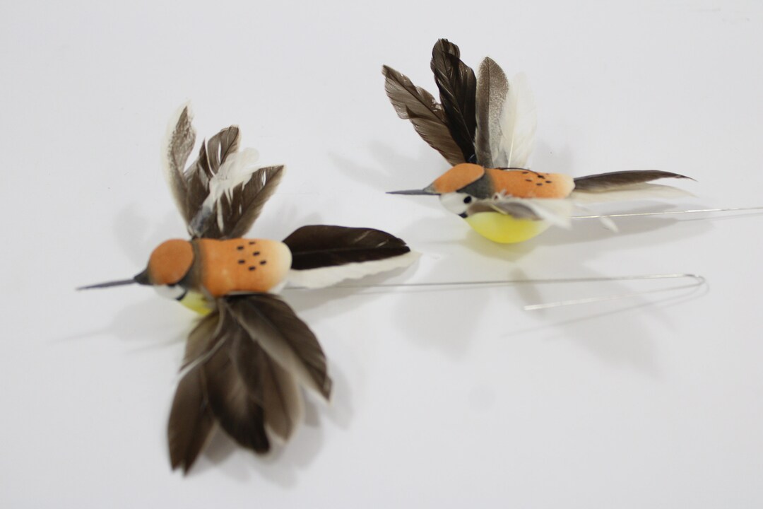 Artificial Hummingbirds, Feathered Birds, Orange Hummingbirds W ...