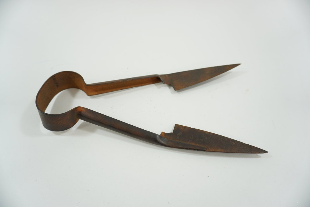 T. Hessenbruch & Co Shears, Trimmer, Clipping Shears, Greenhouse Garden ...