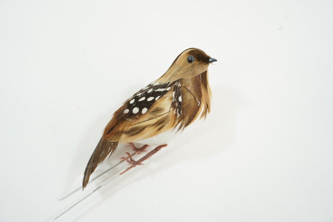 Artificial Bird, Feathered Bird, Fat Bird, Partridge Bird W Wire Feet ...