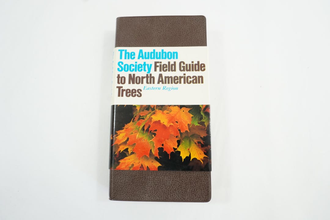 The Audubon Society Field Guide to North American Trees, Eastern Region ...