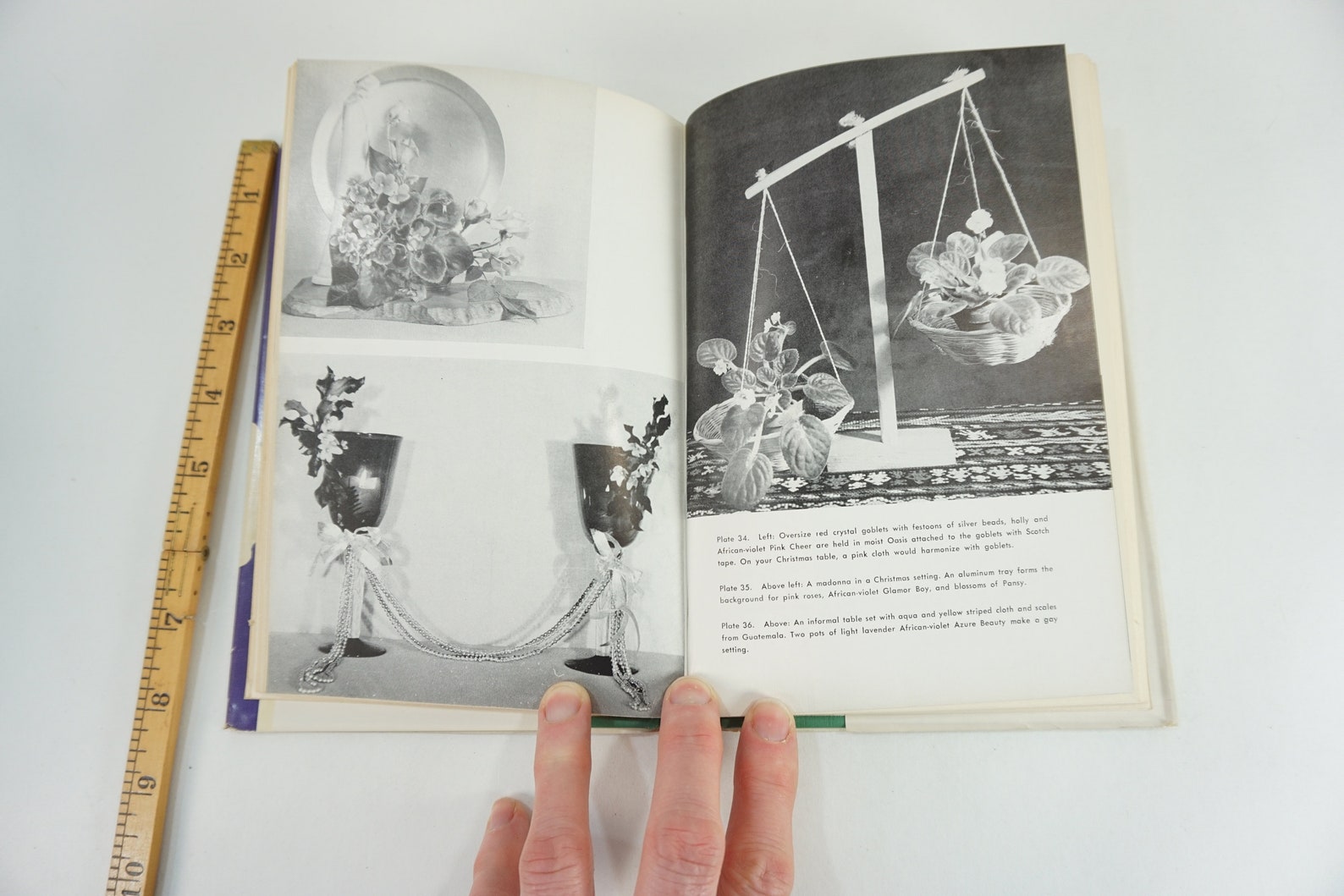 Arranging African Violets by Emily Stuebing, 1956 Book on House Plants ...