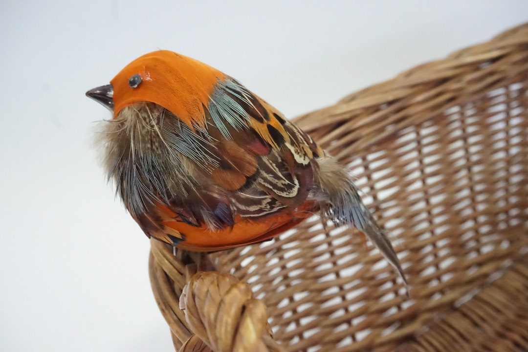 Artificial Bird, Feathered Bird, Clip On, Robin Bird Orange Brown Bird ...