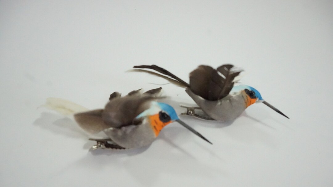 Artificial Hummingbirds, Feathered Birds, Blue Orange Gray Hummingbirds ...