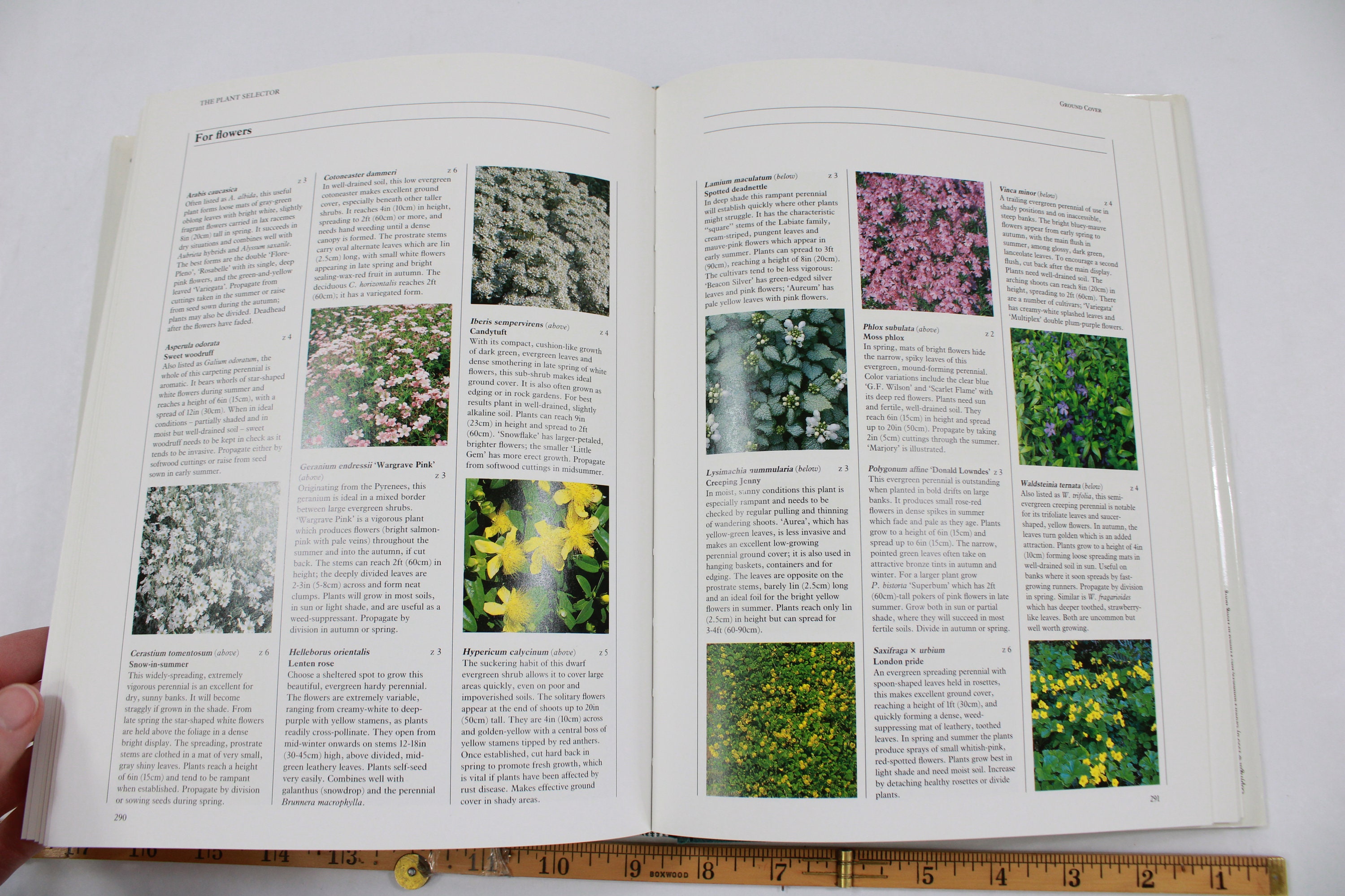 The Garden Sourcebook, Caroline Boisset, Hcw/dj, '93 1st Amer. Ed ...