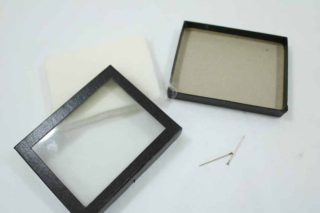 Glass Display Box, Taxidermy Display Box, Black Cardboard Box Glass Lid ...