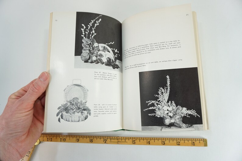 Arranging African Violets by Emily Stuebing, 1956 Book on House Plants ...