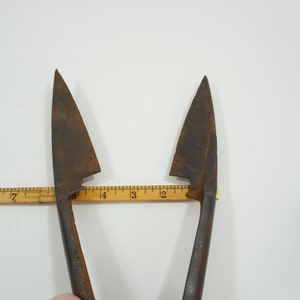 T. Hessenbruch & Co Shears, Trimmer, Clipping Shears, Greenhouse Garden ...