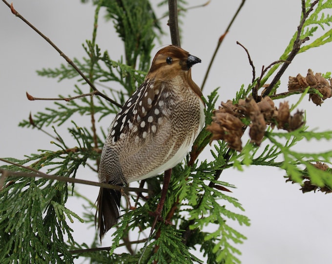 Artificial Bird, Feathered Bird, Fat Bird, Partridge Bird W Wire Feet ...