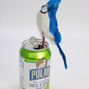 Artificial Bird, Feathered Bird, Blue Jay Bird, Artificial Blue Jay ...