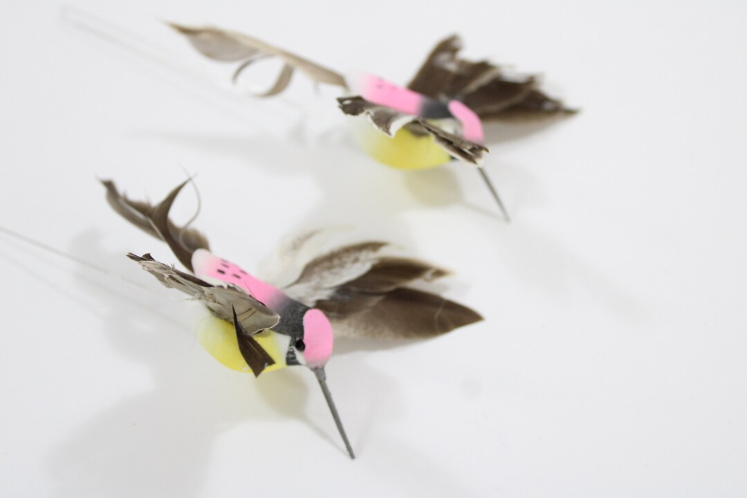 Artificial Hummingbirds, Feathered Birds, Pink Hummingbirds W ...