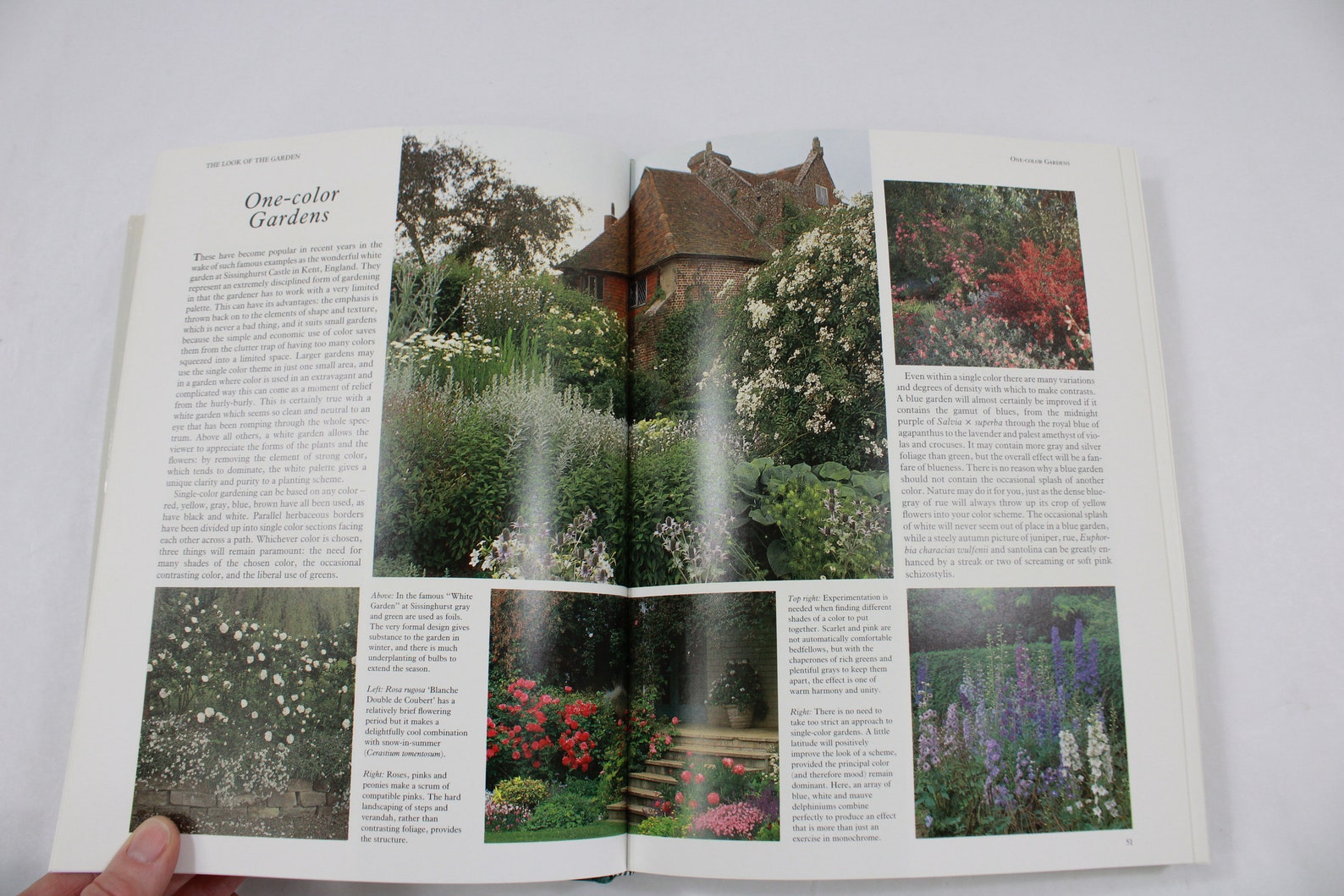 The Garden Sourcebook, Caroline Boisset, Hcw/dj, '93 1st Amer. Ed ...