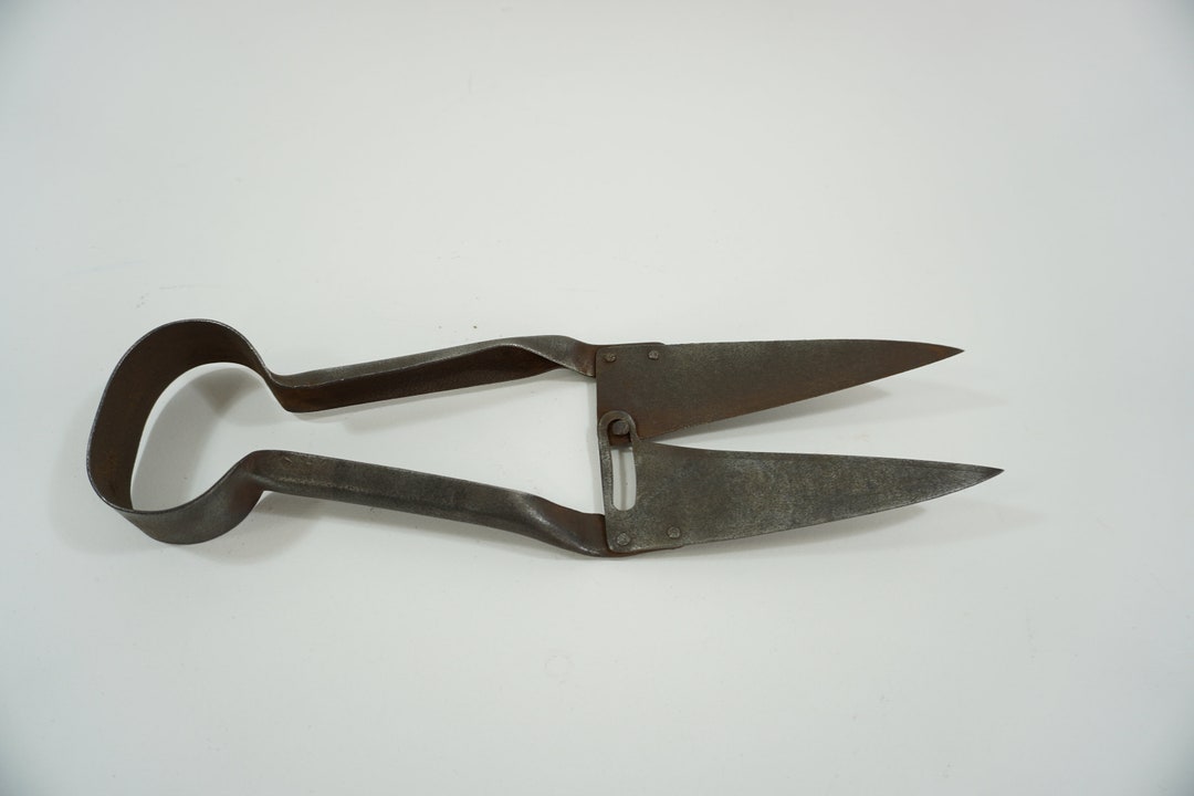 Topiary Shears, Vintage Trimmer, Grass Shears, Steel Carbon Sheers W ...