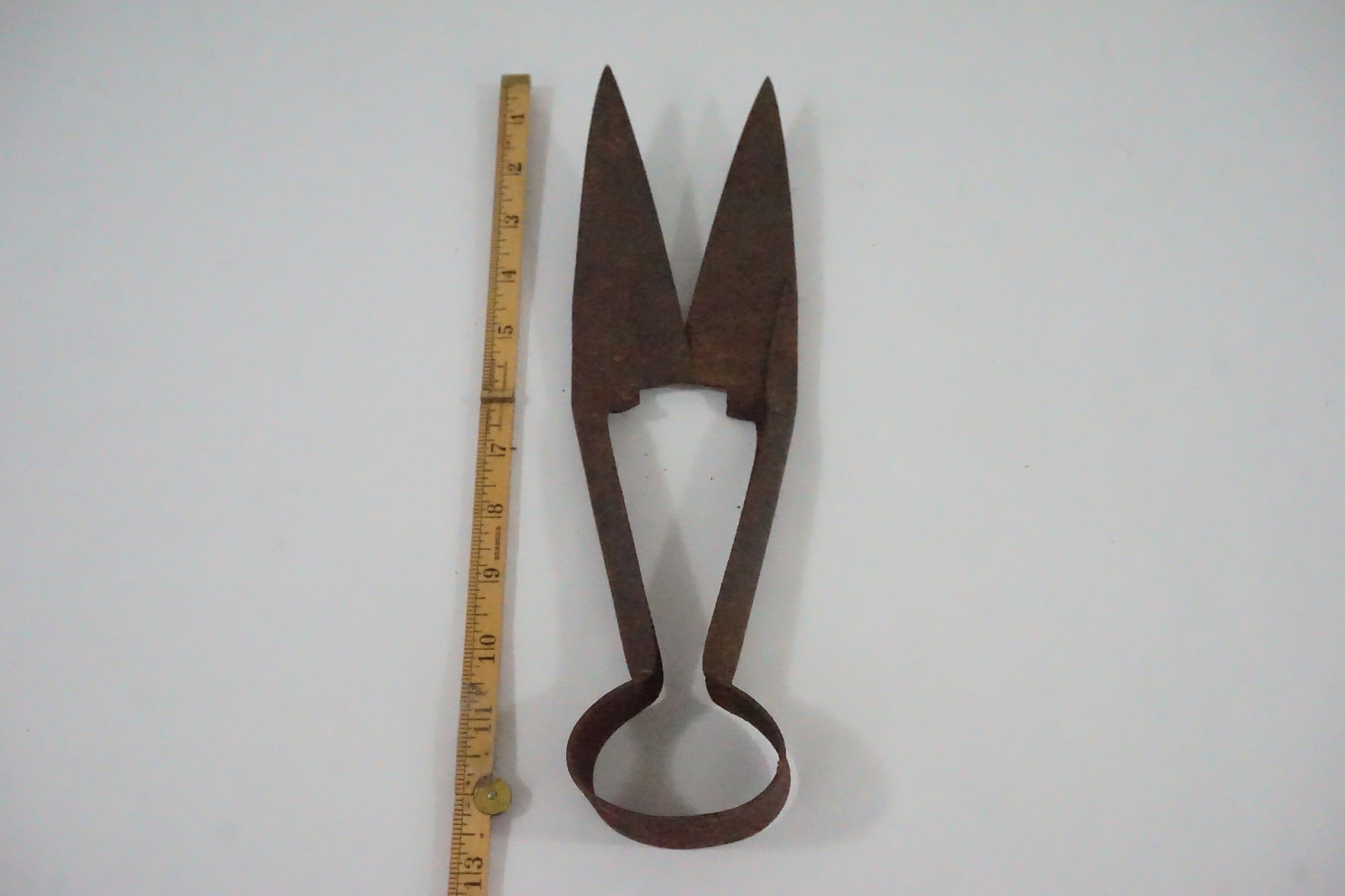 Sheep Shear Trimmer Rusted Grass Shears Steel Carbon English | Etsy