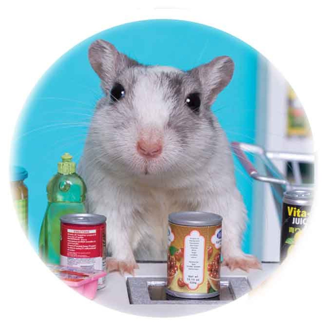 Gerbil Sticker Pack Shopping Groceries Dollhouse Pet Teacher Gift - Etsy