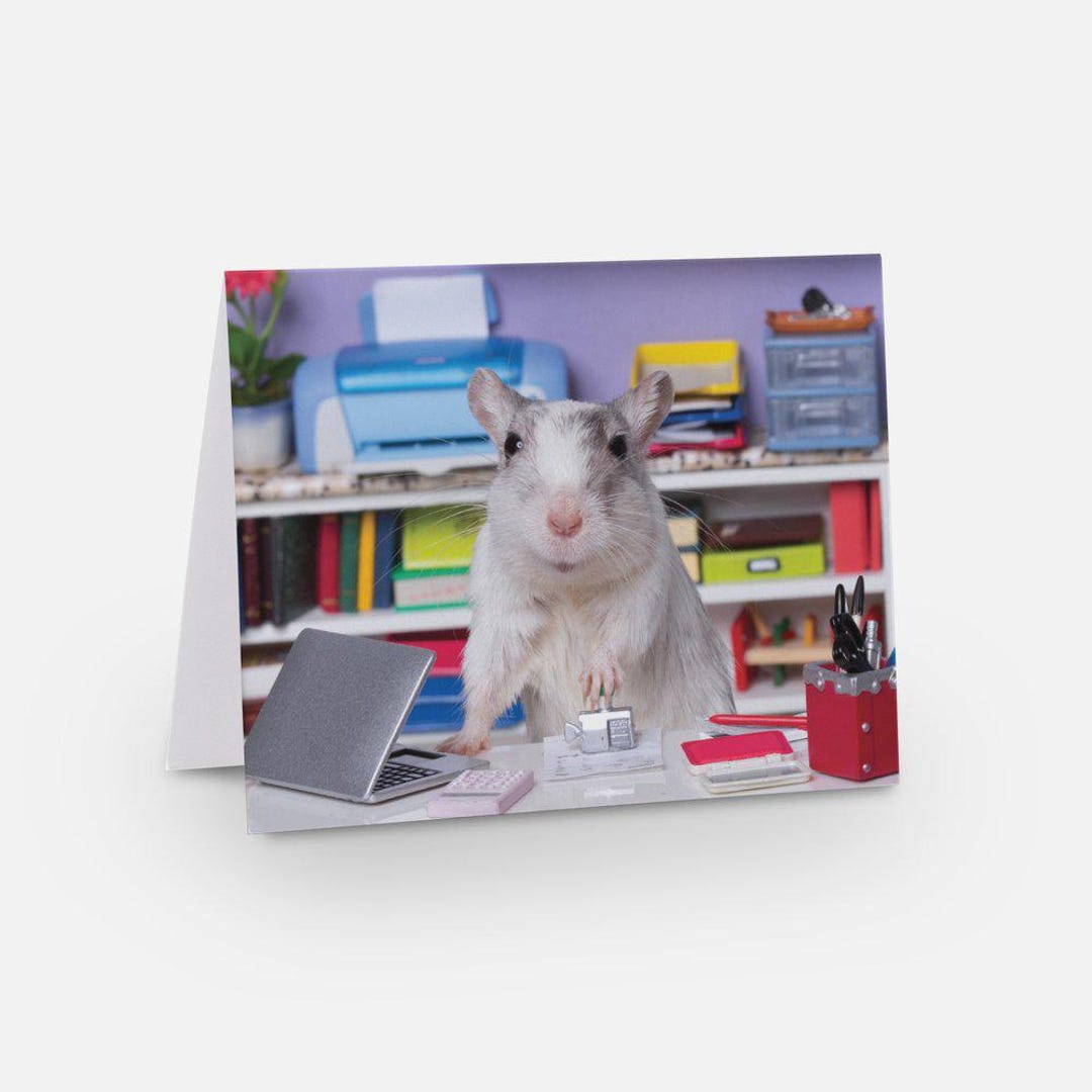 Birthday Greeting Cards Thank You Holiday Card Gerbil Rodent Pet ...