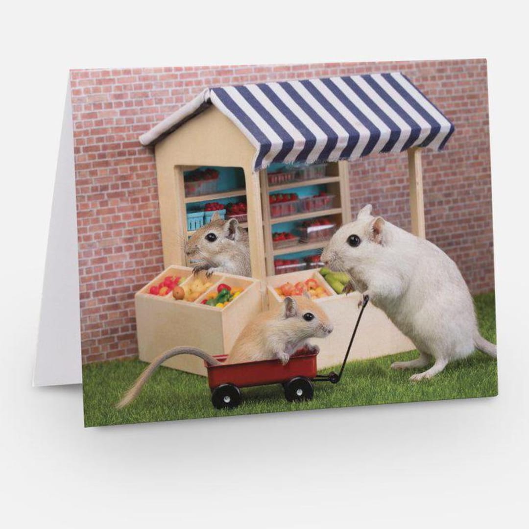 Birthday Greeting Cards Thank You Holiday Card Gerbil Rodent Pet ...