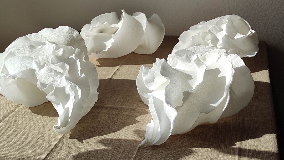 Custom Order Nr 4 Paper Sculpture , Home Decor, White Gasteropod Wall ...
