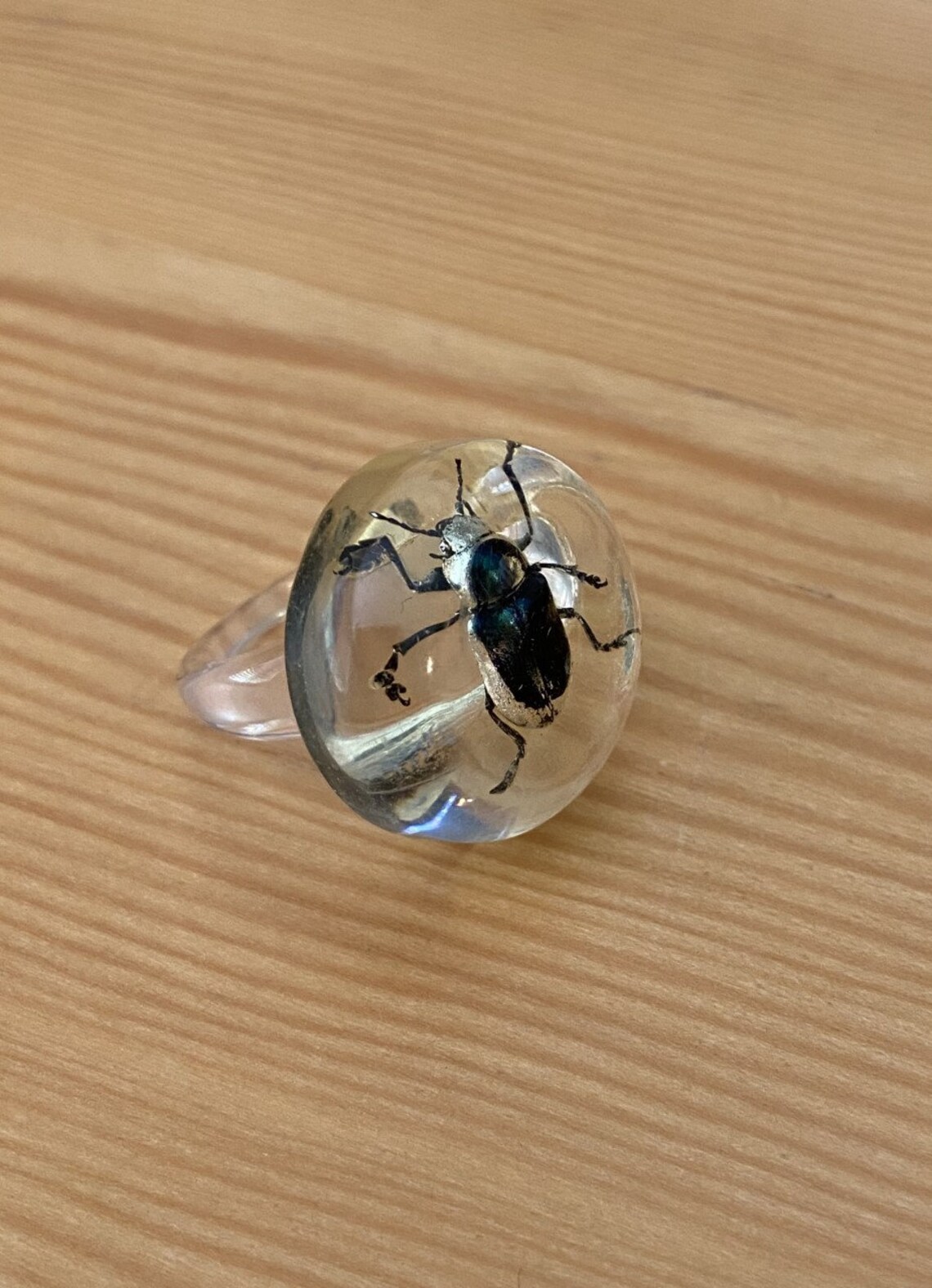 Insect Ring Size 6 1/2 Bug Ring Lucite Beetle Ring Incased | Etsy