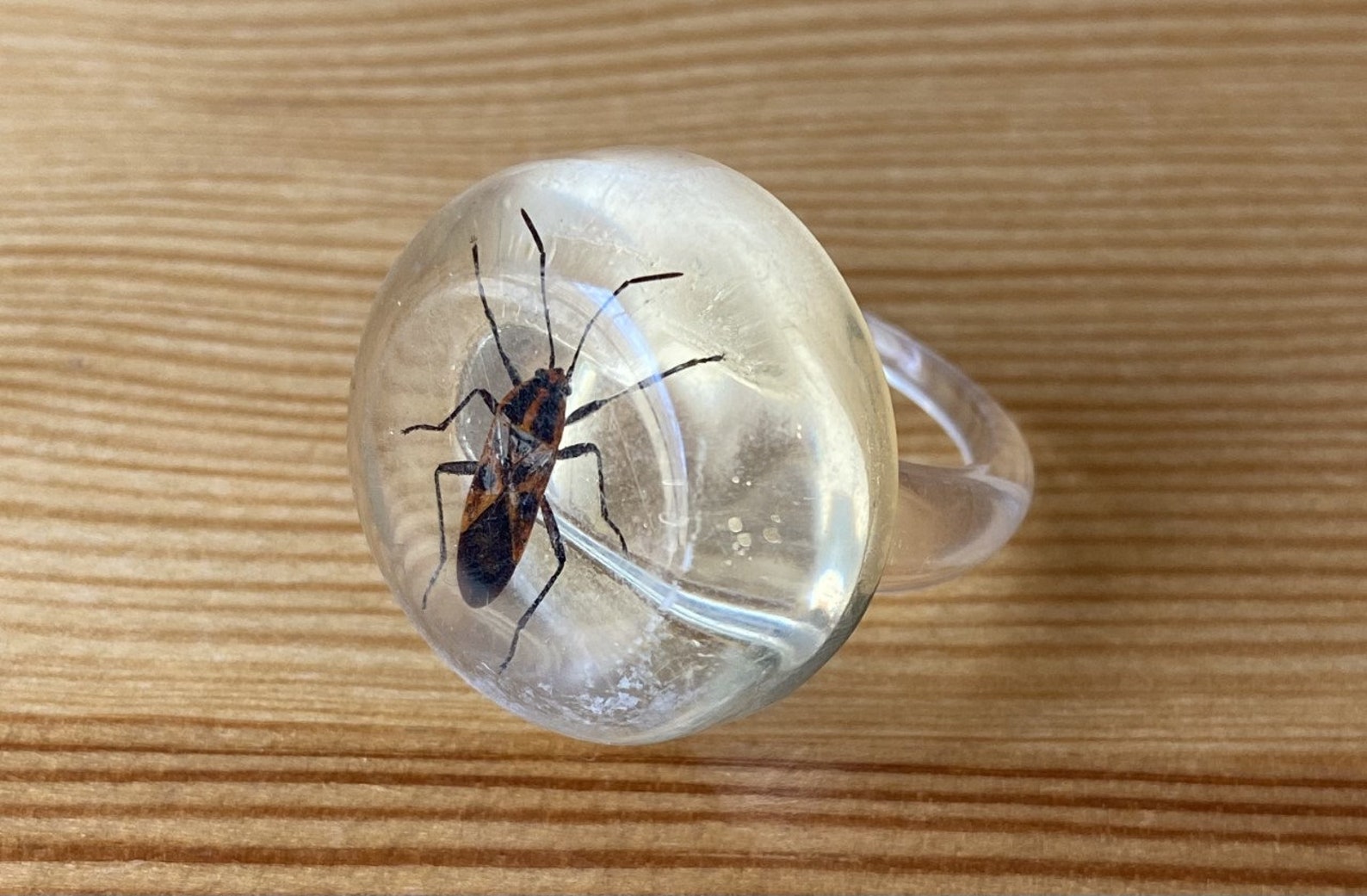 Insect Ring Size 8 Bug Ring Lucite Bug Ring Vintage Bug | Etsy