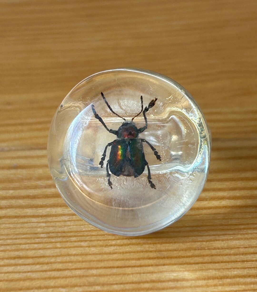 Insect Ring,size 8 Bug Ring,green Beetle Ring,incased Bug Ring,gift for ...