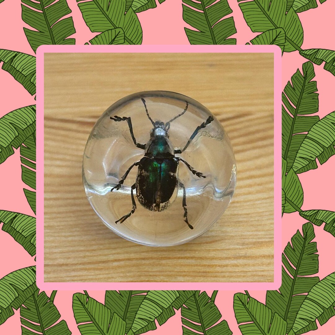 Vintage Lucite Beetle Ring, Green Insect Encased, Size 9 - Etsy