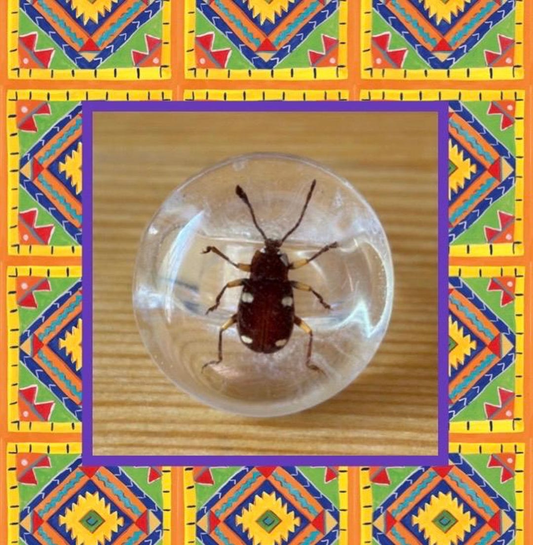 Insect Ring,size 9 Bug Ring,clear Lucite Ring,ground Beetle,70's Ring ...