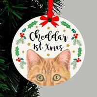 Ginger Cat - Etsy