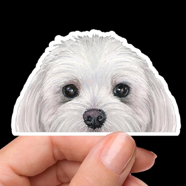 Maltese Dog Stickers - Etsy