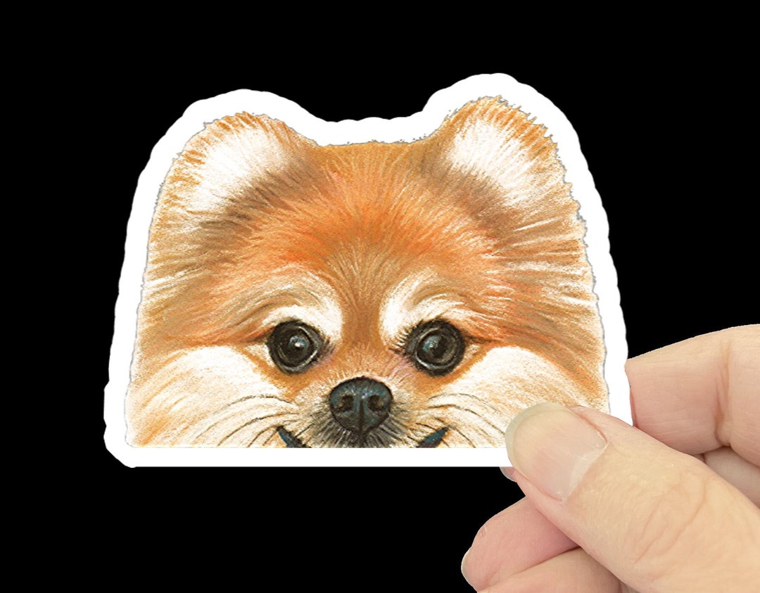 Pomeranian Stickers, Black, Cream or Sable Poms - Etsy