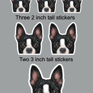 Boston Terrier Stickers, Black or Brown Boston Gift - Etsy