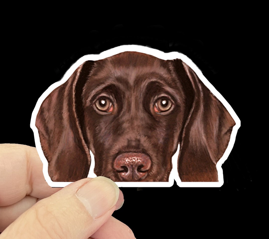 German Shorthaired Pointer Stickers, Black or Brown GSP - Etsy
