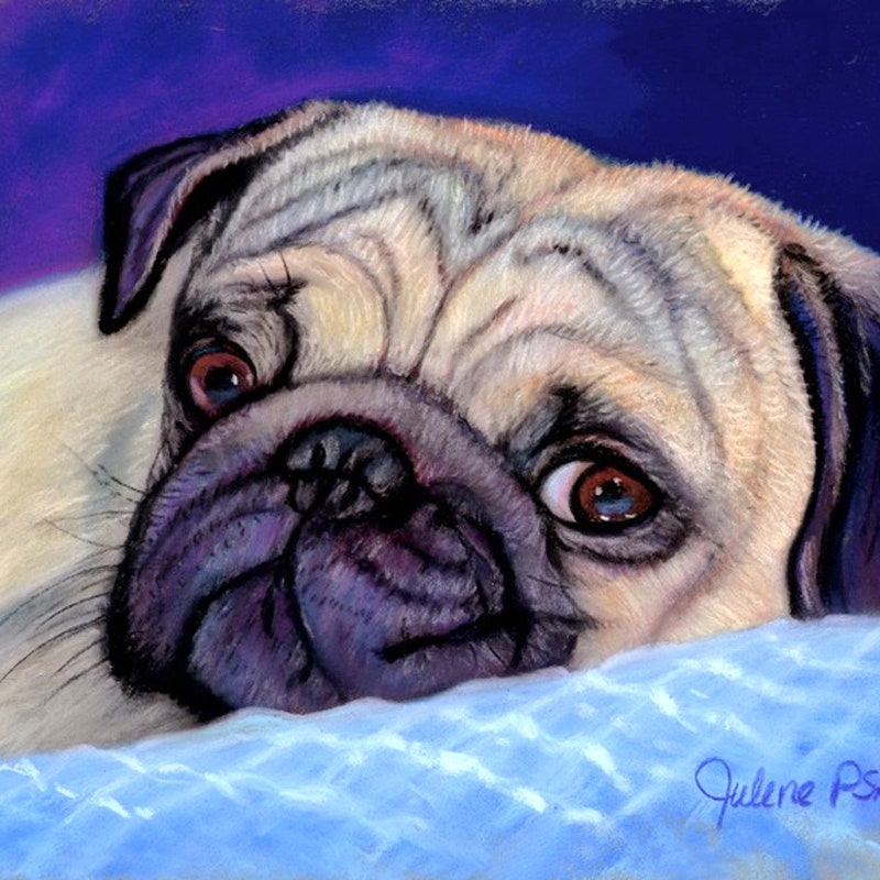 Pug Drawing - Etsy
