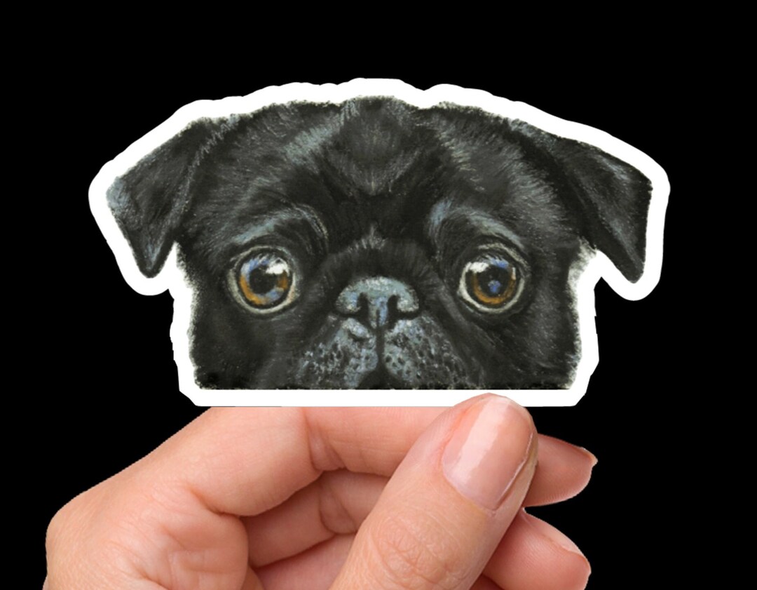 Pug Stickers, Three Pug Colors, Black, Fawn and Senior - Etsy