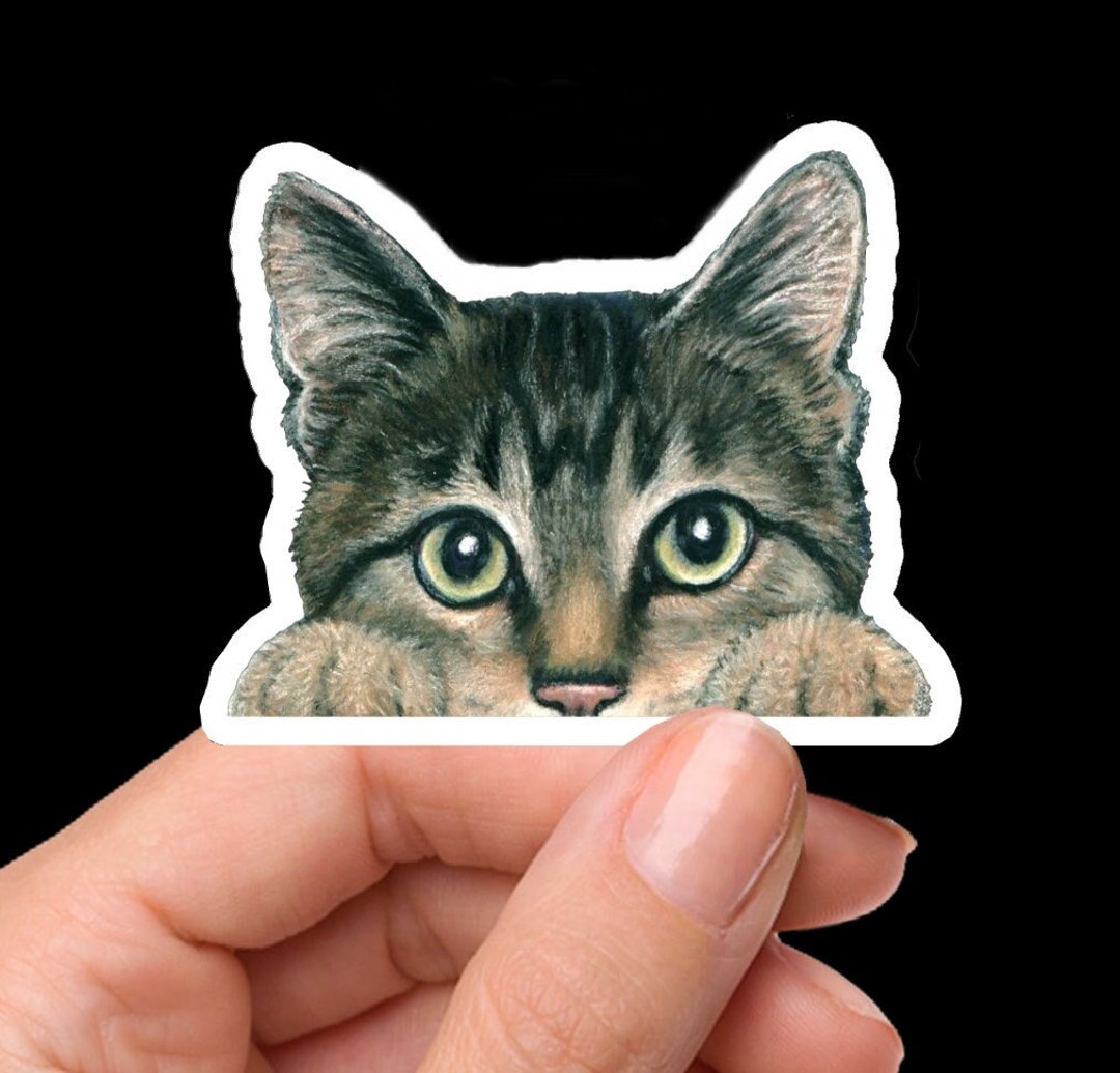 Cat Stickers, Brown Tabby Gift - Etsy