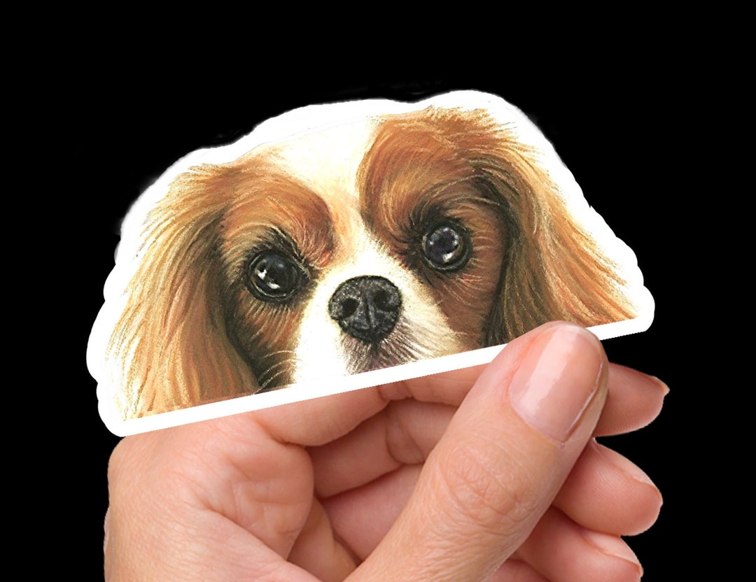 Cavalier King Charles Spaniel Stickers, Four Cavalier Colors - Etsy