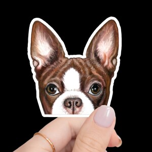 Boston Terrier Stickers, Black or Brown Boston Gift - Etsy