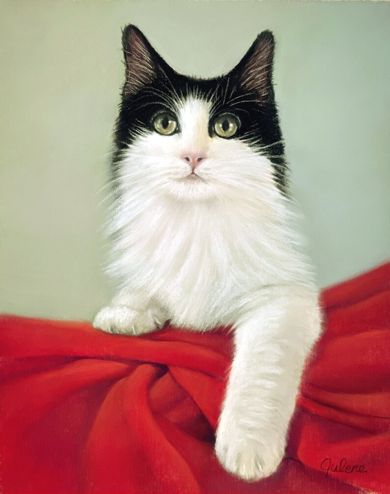 Black and White Cat Art Print - Etsy