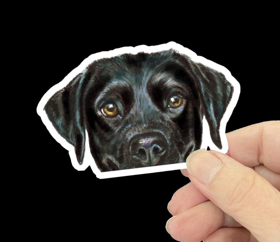Labrador Retriever Stickers, Black, Chocolate or Yellow Labradors - Etsy