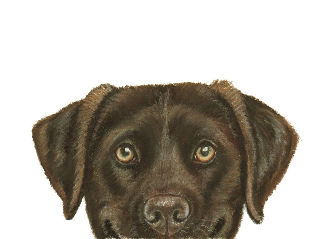 Chocolate Labrador Retriever Framed Art, Lab Gift, Hand Painted in Soft ...