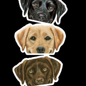 Labrador Retriever Earrings, Black, Chocolate or Yellow Lab - Etsy