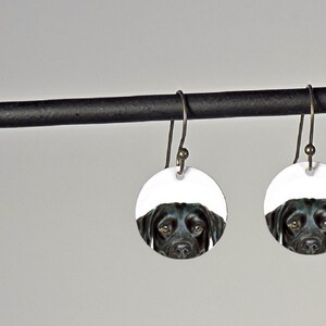Labrador Retriever Earrings, Black, Chocolate or Yellow Lab - Etsy
