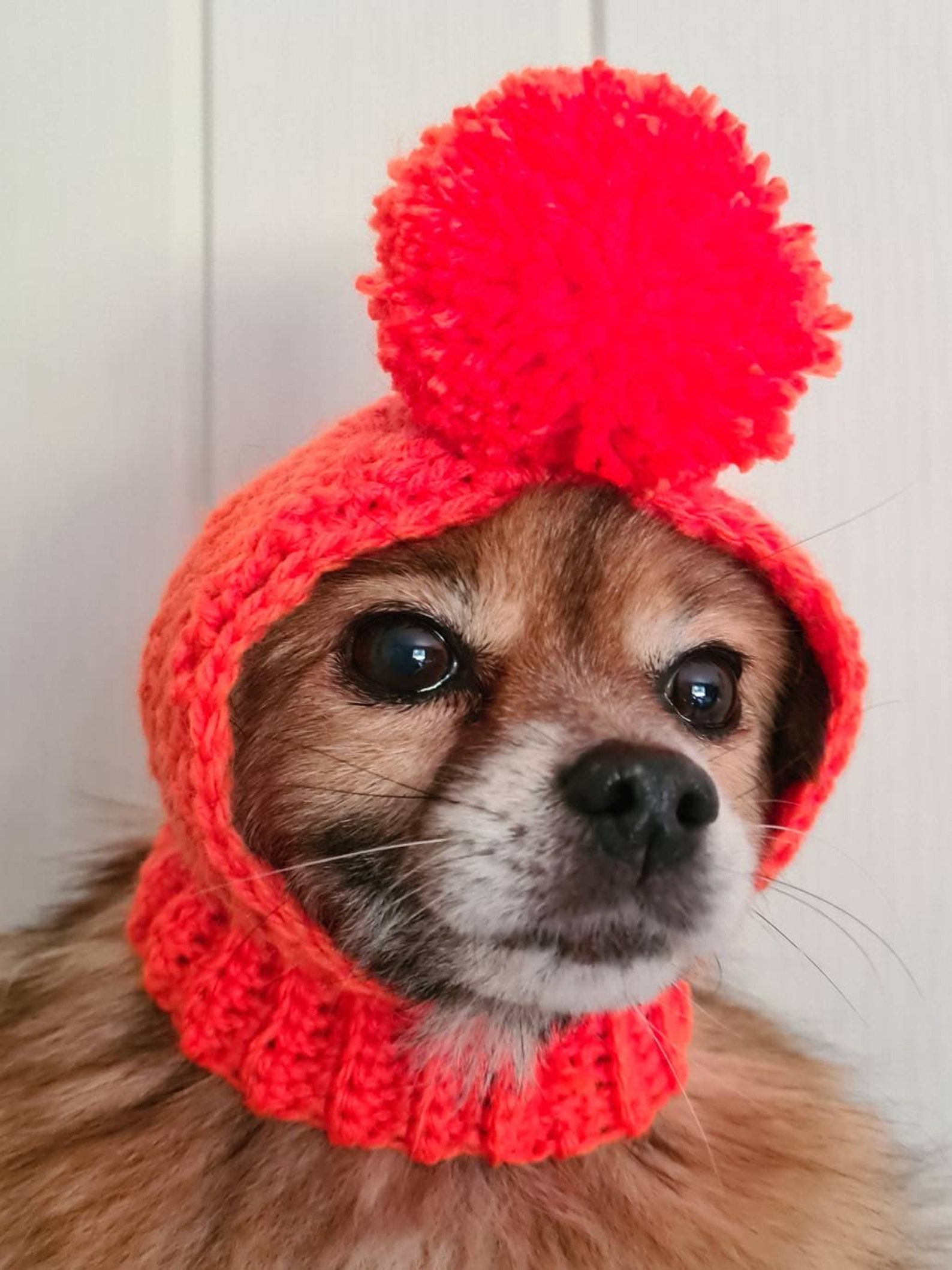 Crochet Dog Balaclava Bobble Hat - Etsy
