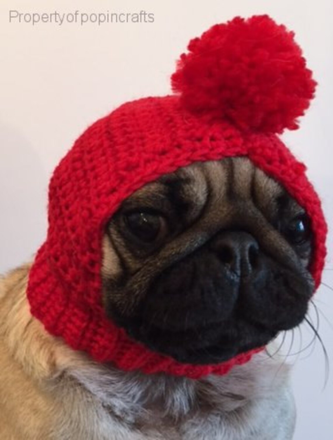 Dog Hat Pug Hat Pug Balaclava Pug Bobble Hat Pet - Etsy