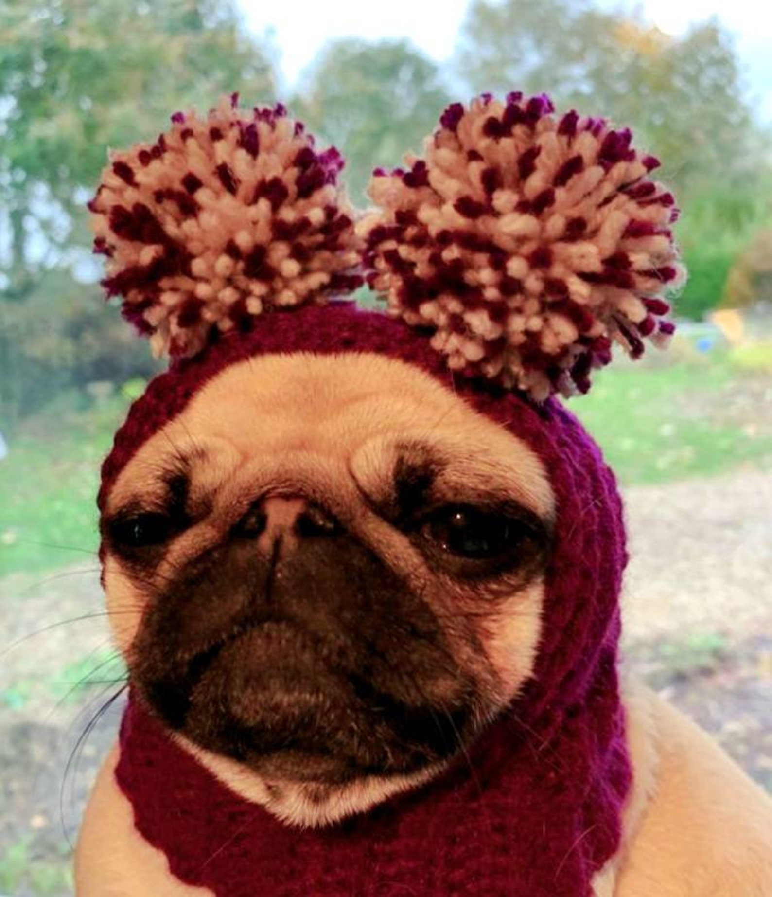 Dog Hat Pug Hat Pug Balaclava Pug Bobble Hat Pet - Etsy